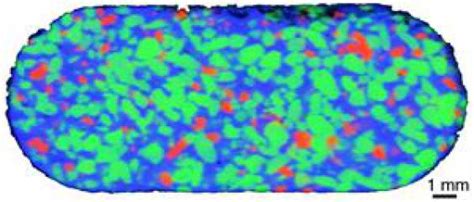30 Minute Raman Tablet Map