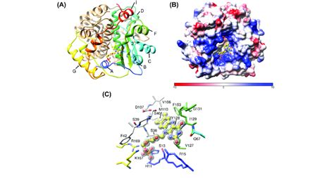 Structure Of Nfsa In The Absence Of Ligands A Ribbon Diagram Of Nfsa