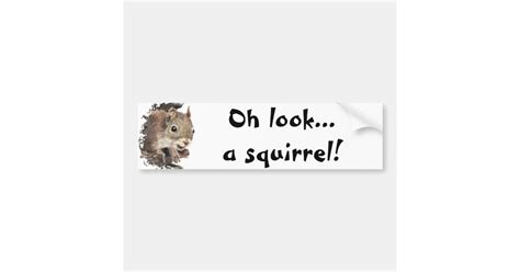 Oh Look A Squirrel Attention Humor Bumper Sticker Zazzle