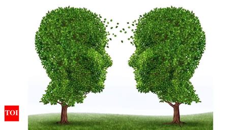 Do Trees Communicate With Each Other Times Of India