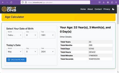 🎂 Professional Age Calculator Accurate And Detailed Results