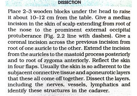 Solution The Scalp And Superficial Temporal Region Studypool