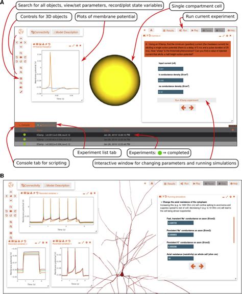 Open Source Brain A Collaborative Resource For Visualizing Analyzing Simulating And