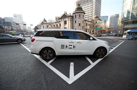타다 ‘서비스 팁으로 장애인도우미견 양성 돕는다