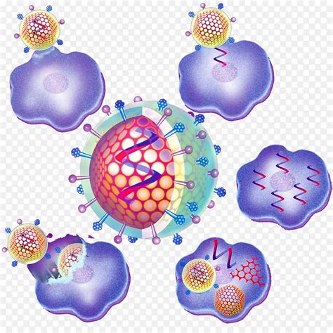 细胞分子生物示意图png图片素材下载 图片编号qawoxvbq 免抠素材网