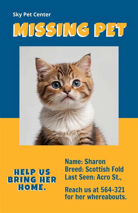 Free Missing Person Poster Template To Edit Online Free Missing Person Poster Template To Edit Online