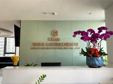 3 Speed Full Body Massage Become Healthier Deep Tissue Fascia Gun