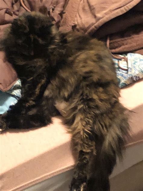 Idk How She Passed Out Like That Scrolller