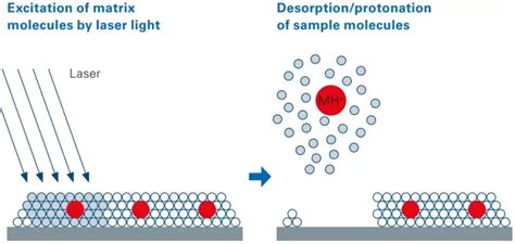 Unlocking The Key Parameters Of Spatial Metabolomics Decoding