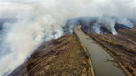 Infobae En Los Incendios Del Delta Del Paraná Fuego Humo Y Una Ley De