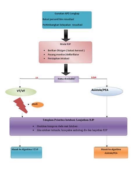 Algoritma Henti Jantung Pdf