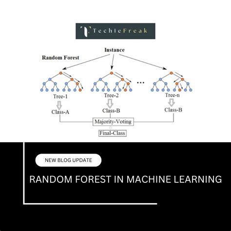 Random Forest In Machine Learning
