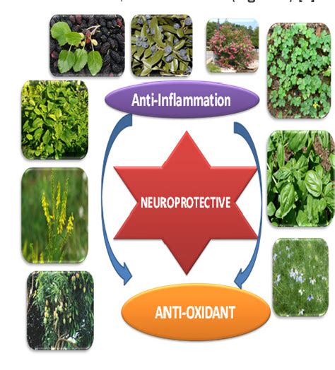Figure 1 From Herbs Derived Bioactive Compounds And Their Potential For