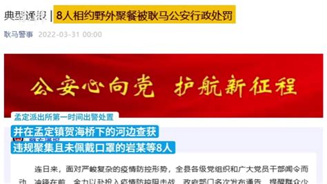 云南耿马8人相约野外聚餐被处罚：违规聚集且未佩戴口罩凤凰网视频凤凰网