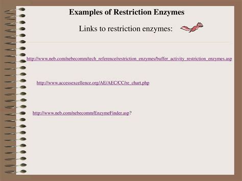 Restriction Digest Laboratory Ppt Download
