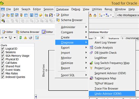 Undo Advisoroem Database Tutorials