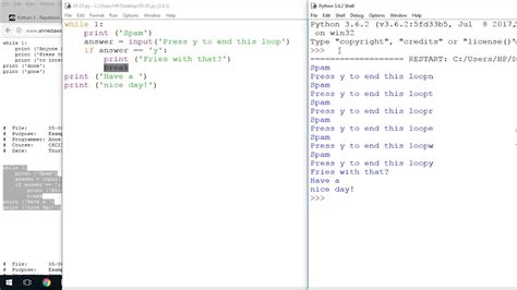 python s while statement with break and continue youtube