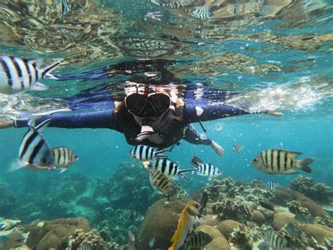 แพ็คเกจทัวร์เกาะเต่า เกาะนางยวน เกาะพะงัน 3 วัน 2 คืน