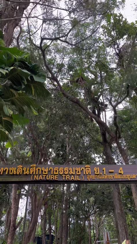 เชียงใหม่ ขุนตาน เส้นทางท่องเที่ยวที่นั่งรถไฟเพียงแค่ 1 ชั่วโมง ลองไป