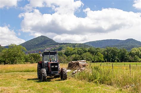 오베르 네입니다 Tracteur에 레 샹젤리제 알자스 Bas 랭 그랜드 Est 0명에 대한 스톡 사진 및 기타 이미지 0명