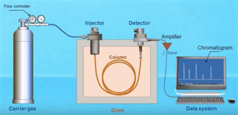 Gas Chromatography Questions Flashcards Quizlet
