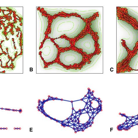 Snapshots From A Cellular Potts Simulation Of De Novo Formation Of A Download Scientific