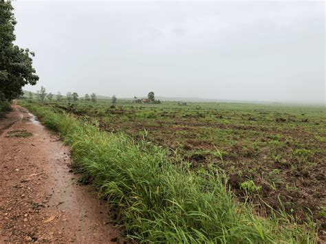 Adaeng Development Cambodia Investment Land And Business Advisory
