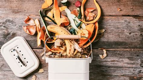 What Is Bokashi Composting Everything You Should Know