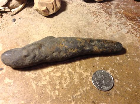 Fossil Claw Fossil Id The Fossil Forum