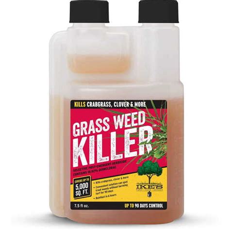 Best Solution For Weeds In Lawn At Timothy Samons Blog