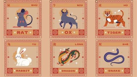 6 Ramalan Shio Tikus Kerbau Macan Kelinci Naga Dan Shio Ular Hari