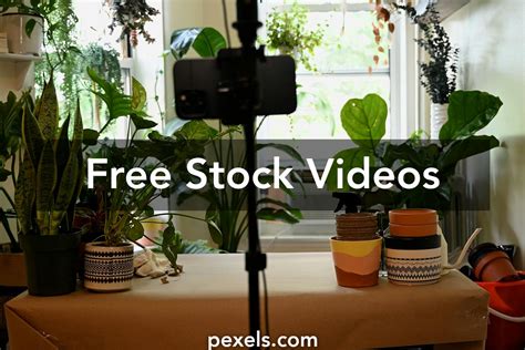 Green Setup Videos Download The Best Free 4k Stock Video Footage And Green Setup Hd Video Clips