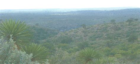 16000 ACRE RANCH MEXICO