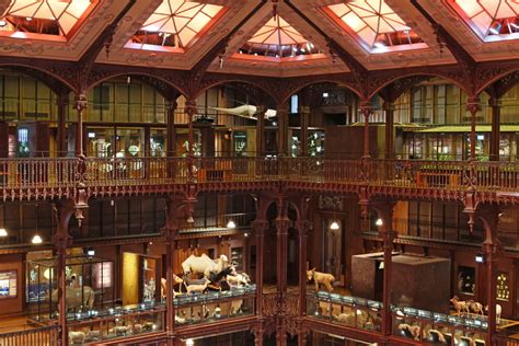 La Grande Galerie De LÉvolution Filimages
