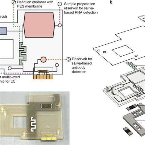 Overview Of Multiplexed Electrochemical Sensor System A Overview Of