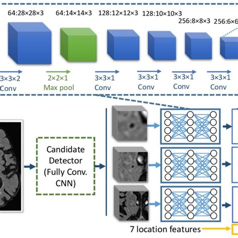 Cnn Architecture For Candidate Detection Download Scientific Diagram