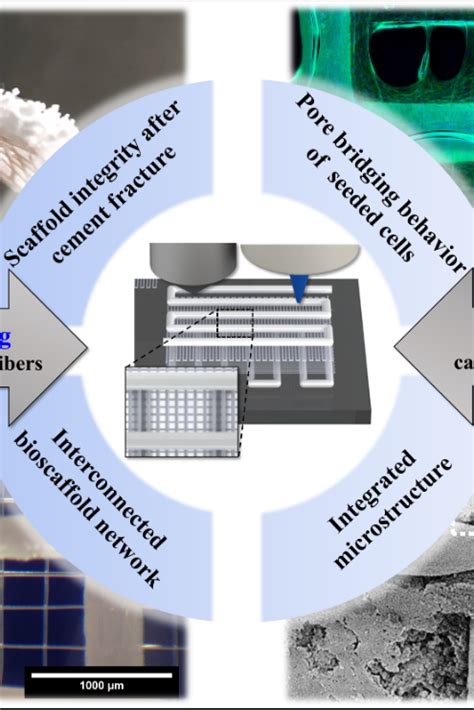 3d Plotting Of Calcium Phosphate Cement And Melt Electrowriting Of Polycaprolactone Microfibers