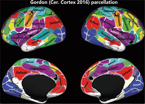 A Diagram Of The Gordon Parcellation And How It Is Related To Different Download Scientific