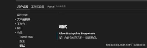Vs Code 配置pascal使用环境（编译、调试）pascal编译环境 Csdn博客