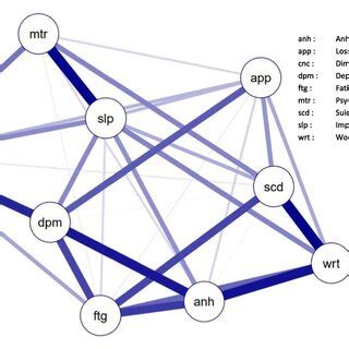 Network Constructed Via The Graphical LASSO Depicting Regularized