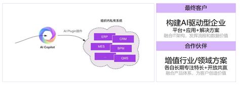 炎黄盈动aws Ai Copilot平台低代码快速开发平台bpm流程管理 云巴巴 云巴巴