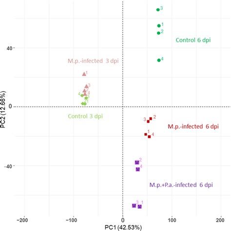 Pca With Filtered Data Set Batch Effects Removed By Ruvr Method From