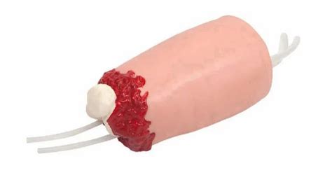 Lower Limb Amputation And Hemostasis Model At ₹ 110000piece In Bidhan