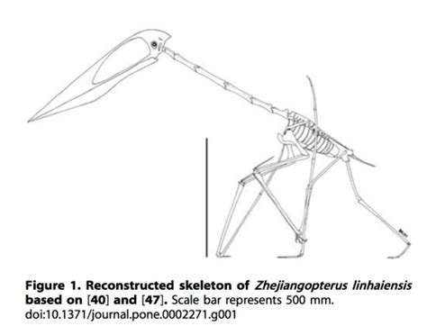 A Dinosaur A Day · Haenamichnus