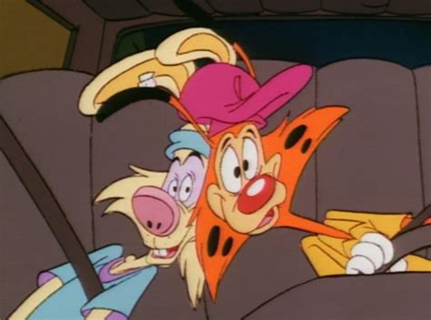 Bonkers D Bobcat