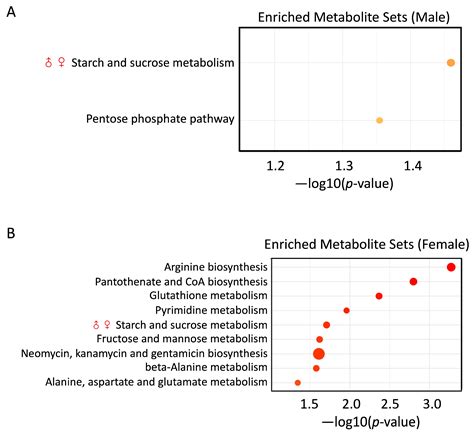 Sex Specific Effects Of Polystyrene Microplastic And Leadii Co Exposure On The Gut Microbiome