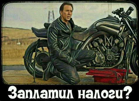 Заплати налоги и спи спокойно | Финансовая грамотность, Случаи, Ленивцы