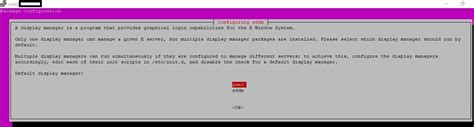 Ubuntu Remote Desktop GUI INTROSERV