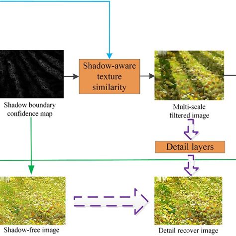 Overview Of The Proposed Shadow Detection And Removal Download