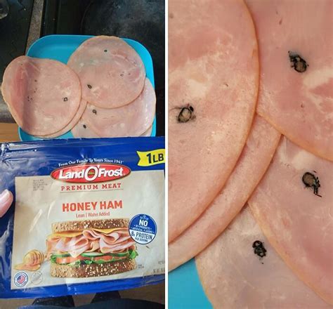 50 Times People Tried To Enjoy Their Food Until They Found Something